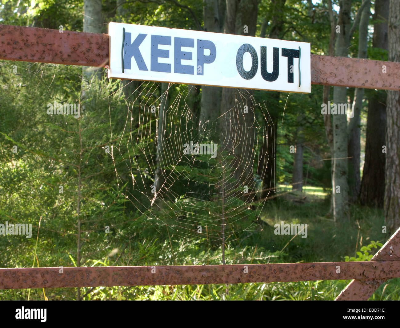 A cobweb under a keep out sign Stock Photo - Alamy