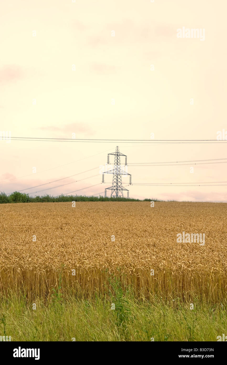 metal pylon carrying electricity supply power lines Stock Photo - Alamy
