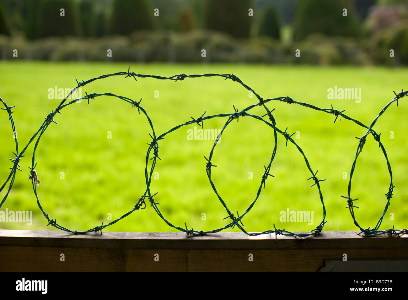 barbed wire on a gate Stock Photo - Alamy
