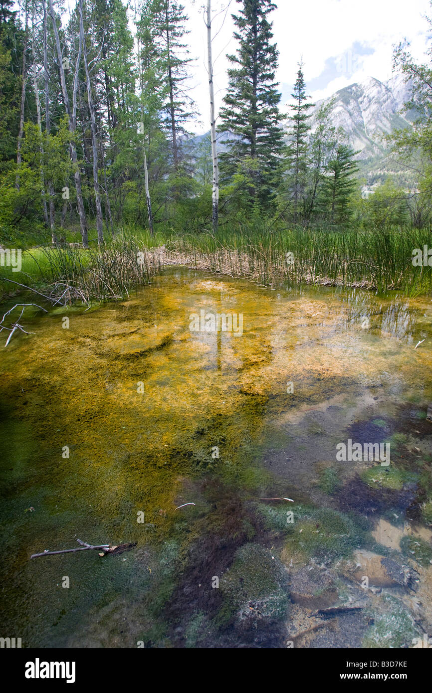 The cave and basin in Banff Alberta Stock Photo - Alamy