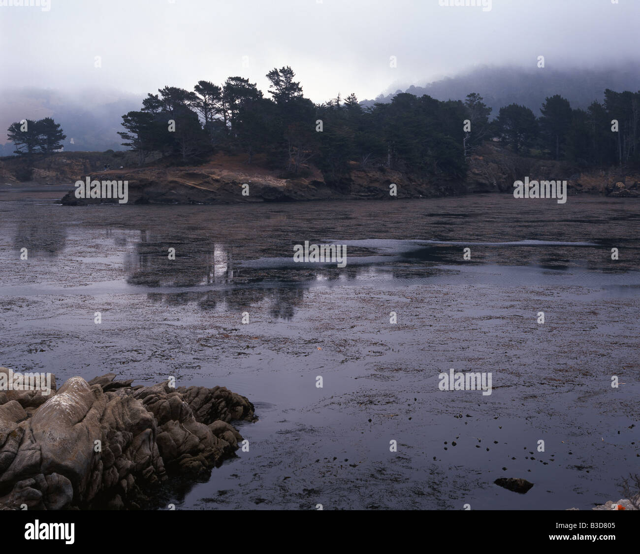 Whalers Cove, Point Lobos, Monterey County, California Stock Photo - Alamy