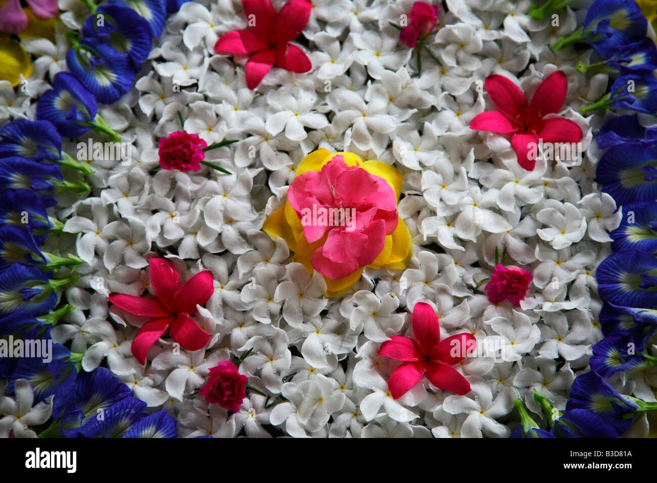 Floral Art ( floating flowers) of Kerala,India Stock Photo - Alamy