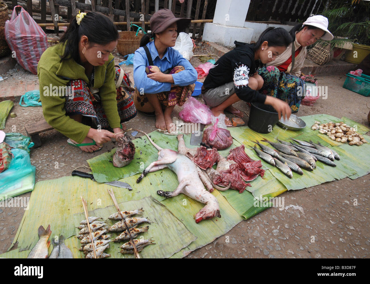 Dog and other goodies Stock Photo - Alamy