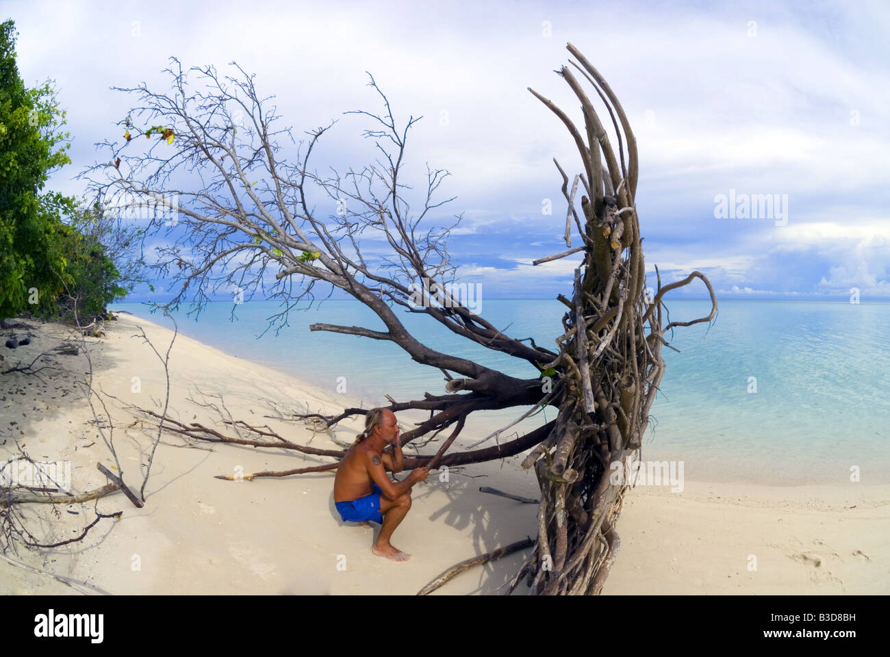Man looking at a tree washed up on a tropical beach with a blue sky and ...