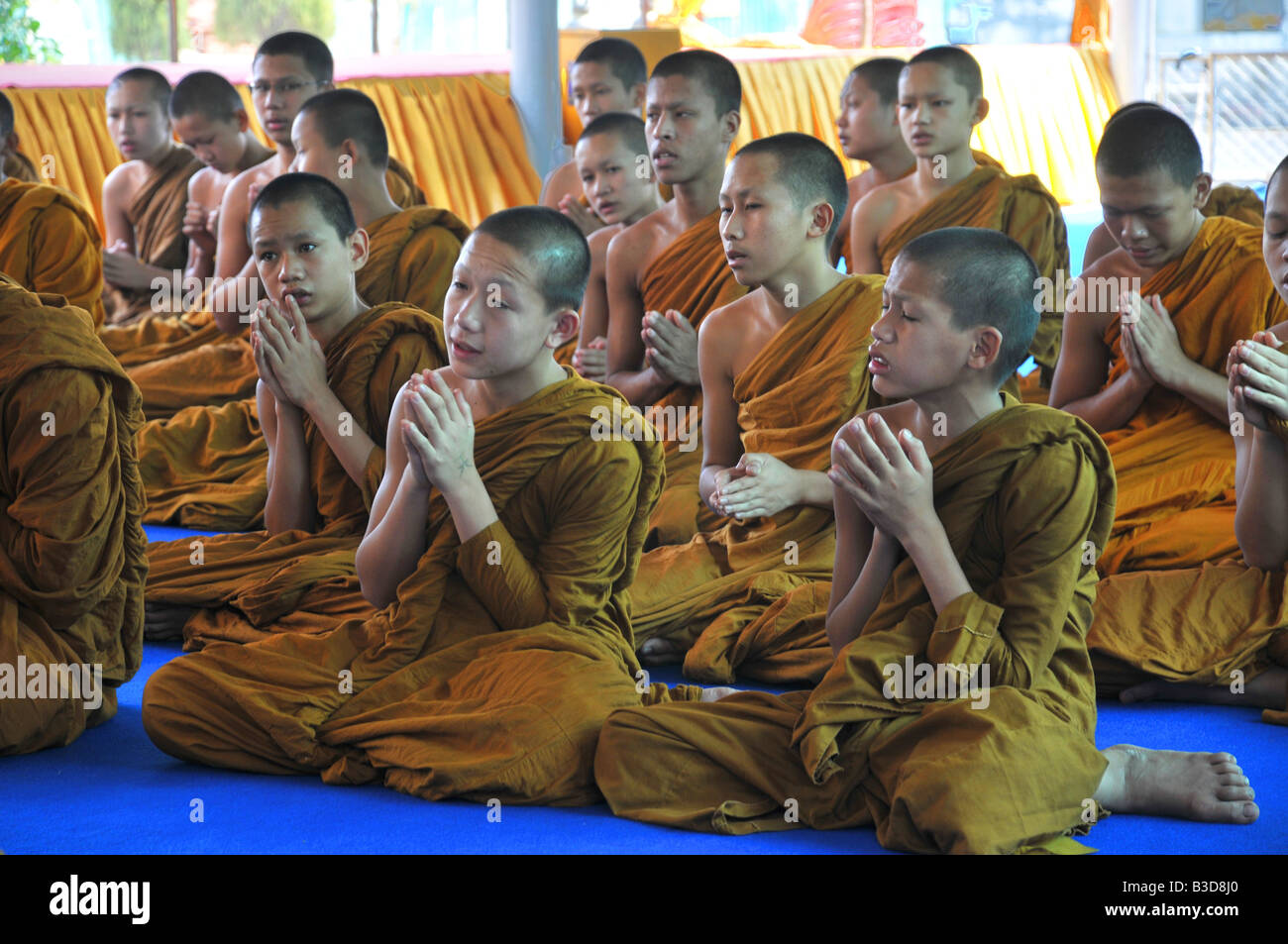 Young Monks praying Stock Photo - Alamy