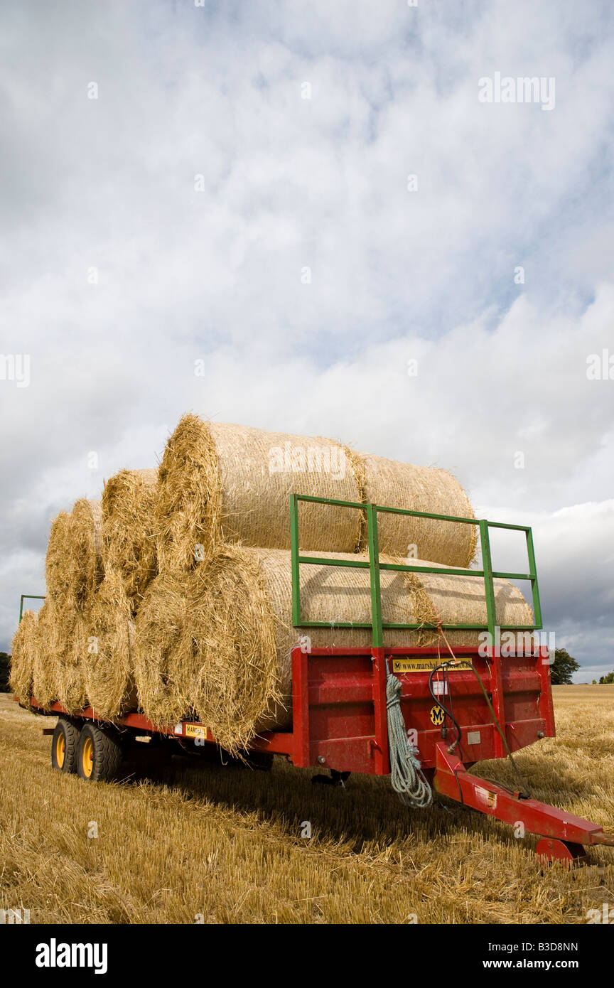 Stack of round straw bales on trailer in stubble field Stock Photo - Alamy