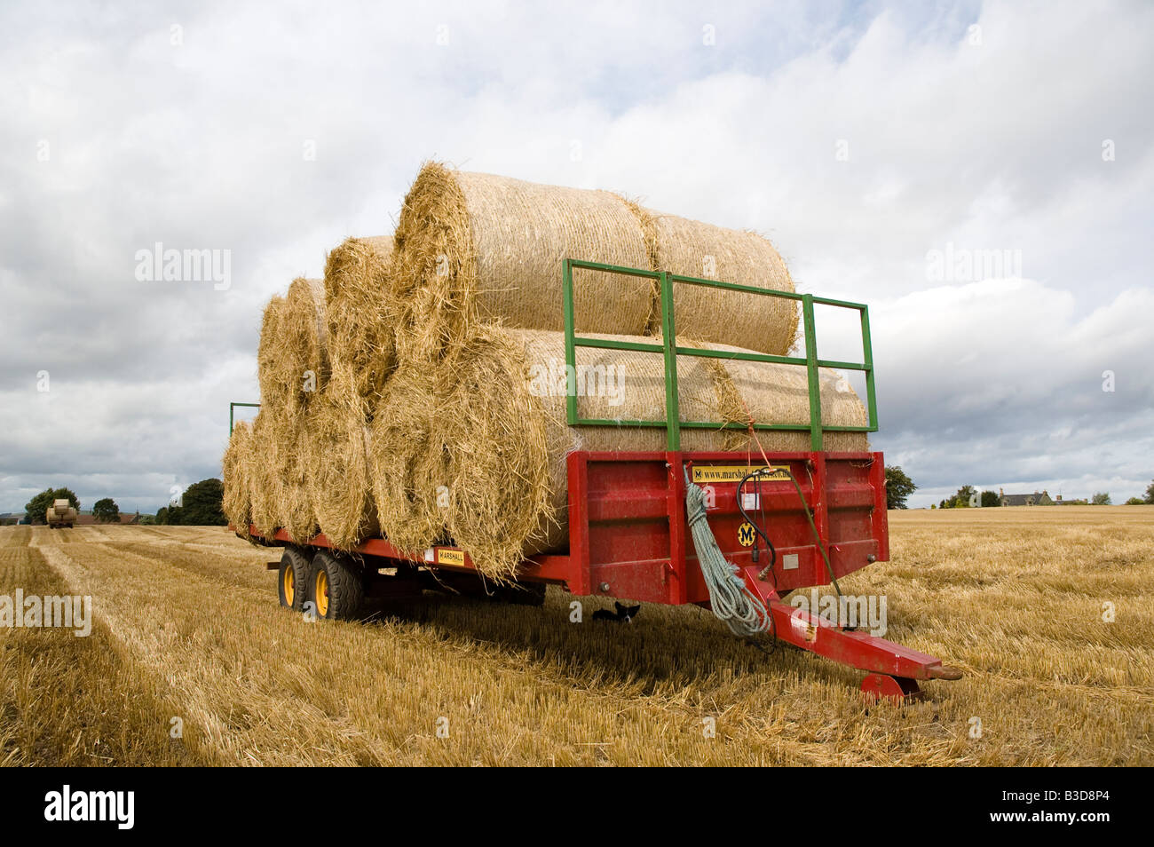 Stack of round straw bales on trailer in stubble field Stock Photo - Alamy