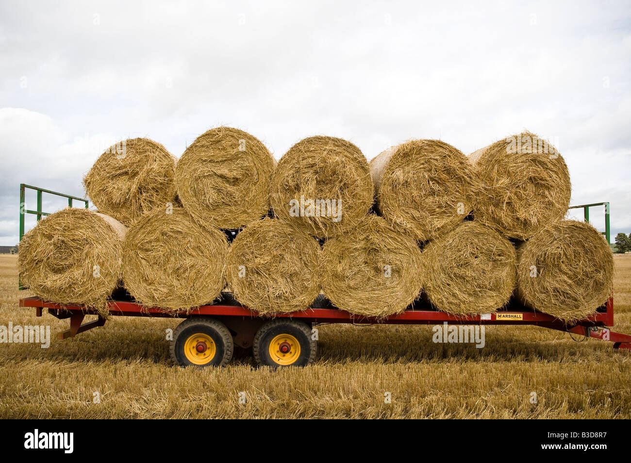 Stack of round straw bales on trailer in stubble field Stock Photo - Alamy