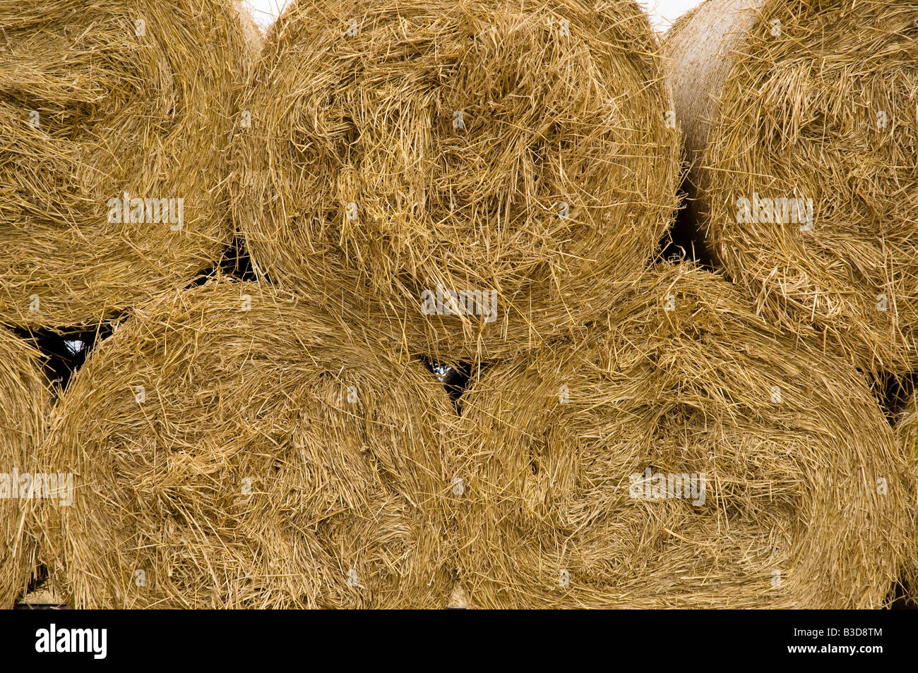 Stack of round straw bales Stock Photo - Alamy