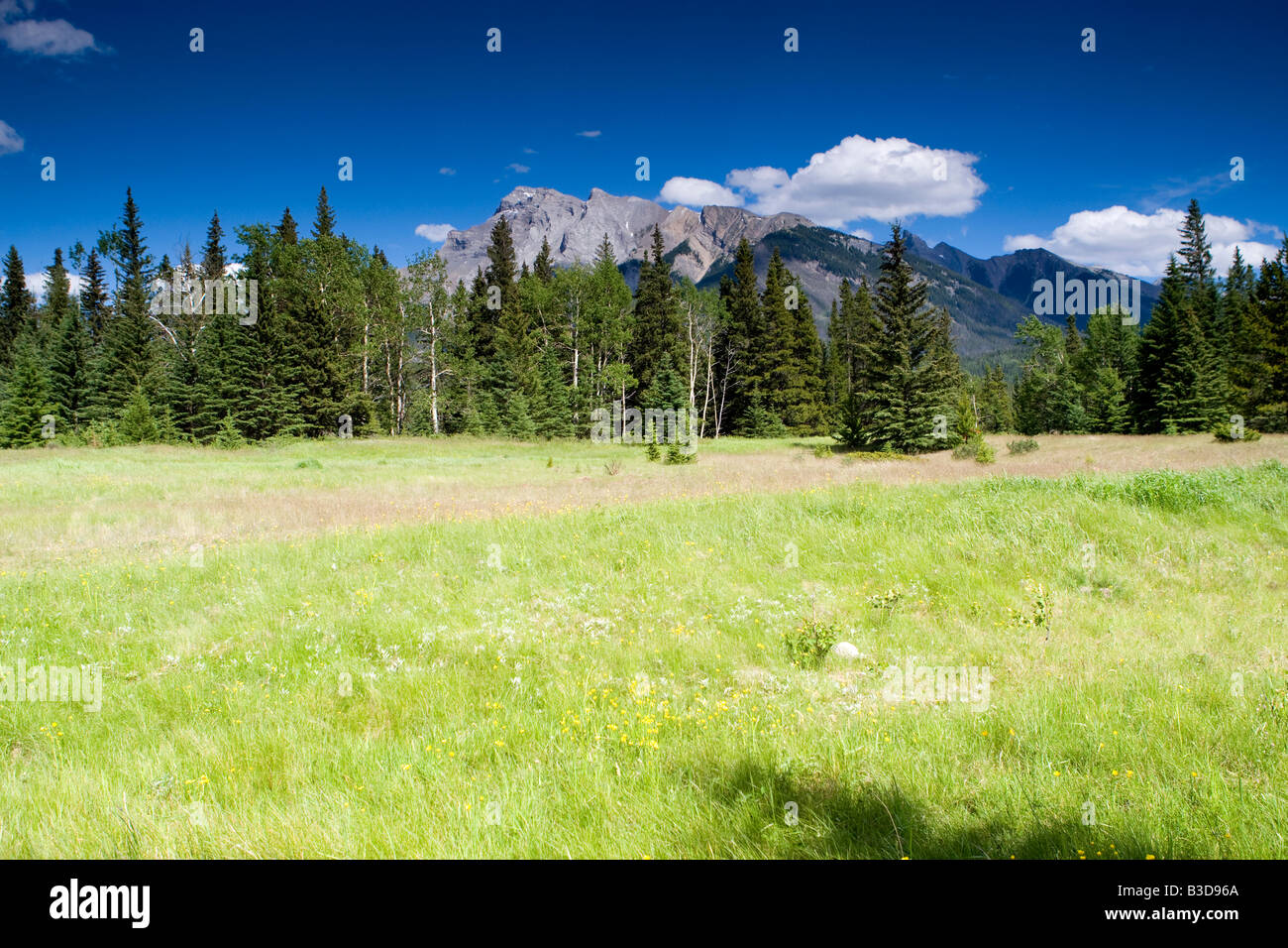 Scene in Banff National park in Alberta Stock Photo - Alamy