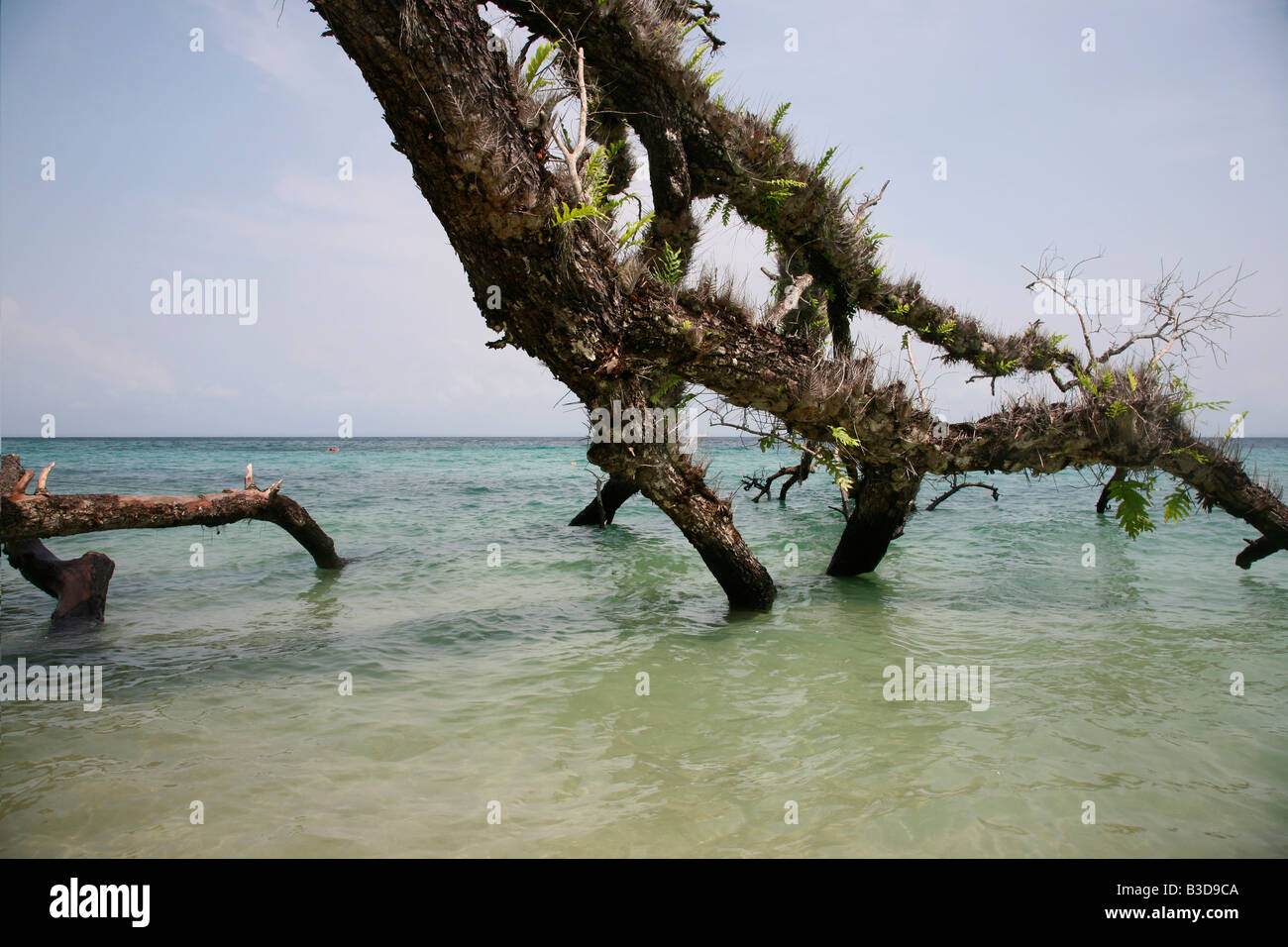 Andaman island beach india hi-res stock photography and images - Alamy