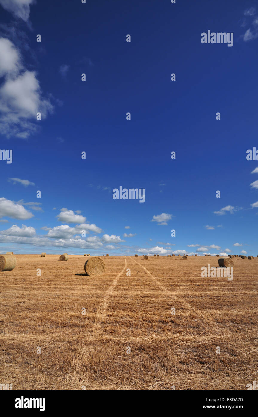 Open field hi-res stock photography and images - Alamy