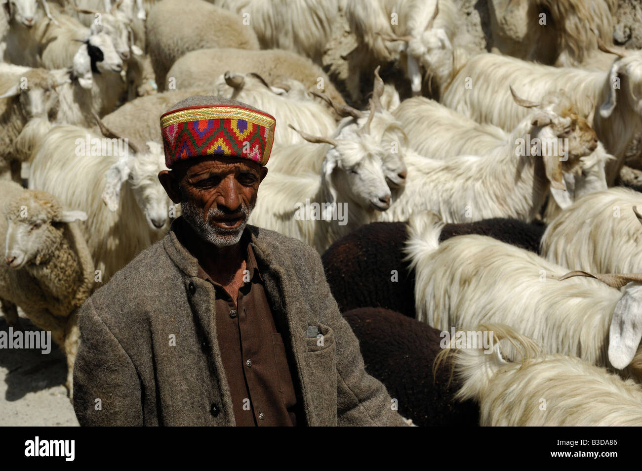 Goat shepherd wearing traditional hat Stock Photo - Alamy