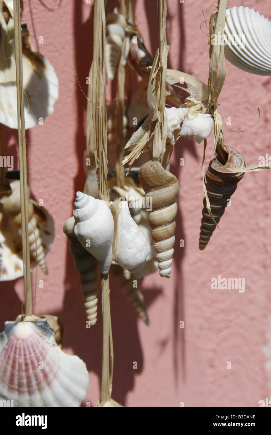 sea shells strands curtains by door window in summer Stock Photo - Alamy