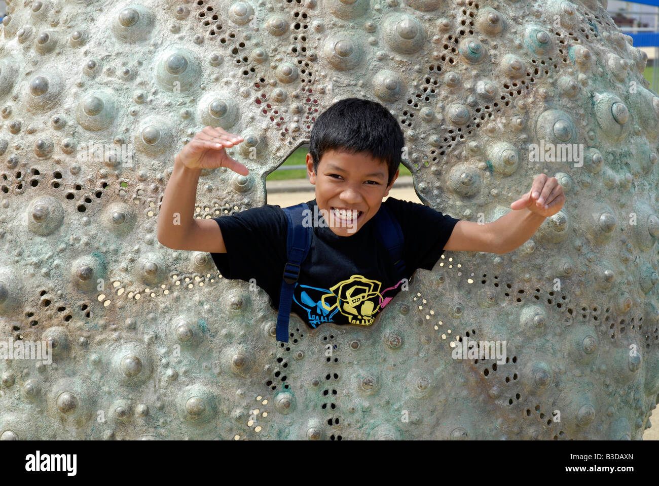 Sea Urchin Sculpture High Resolution Stock Photography and Images - Alamy