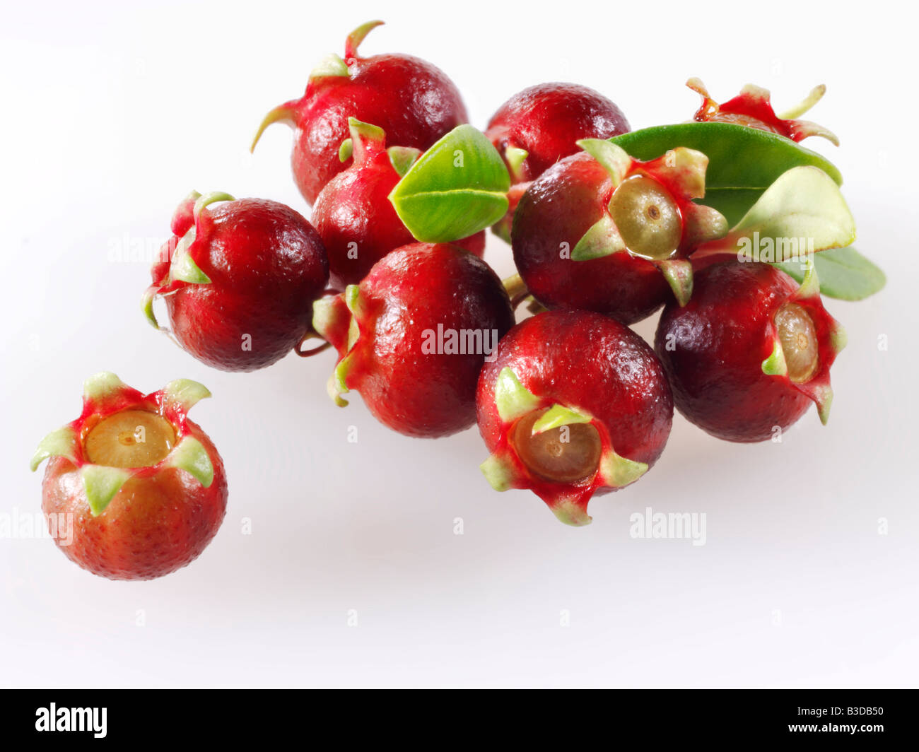 Whole ugni molinae berries hi-res stock photography and images - Alamy