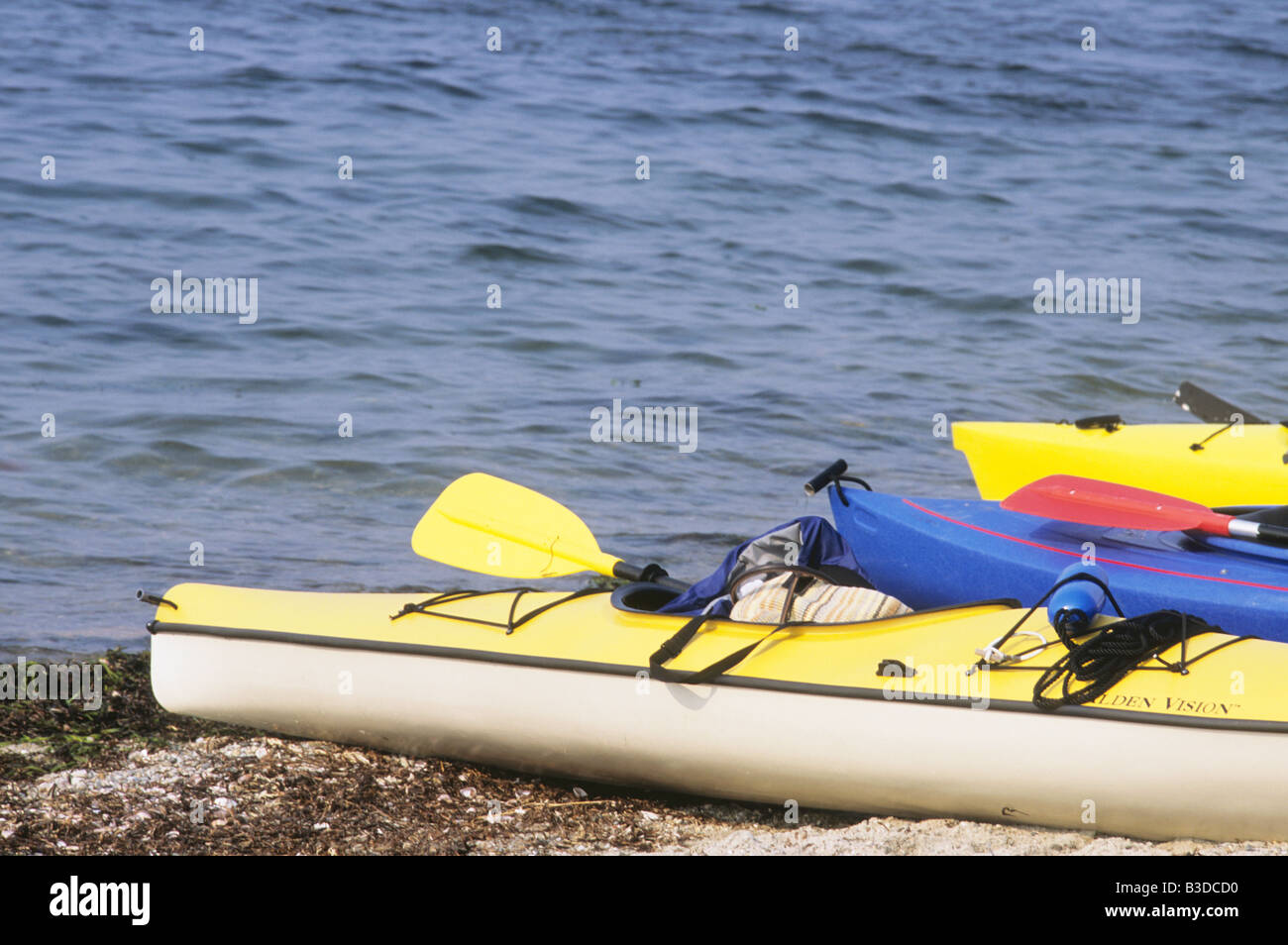 Several colorful kayaks with paddles on beach at ocean edge with no ...
