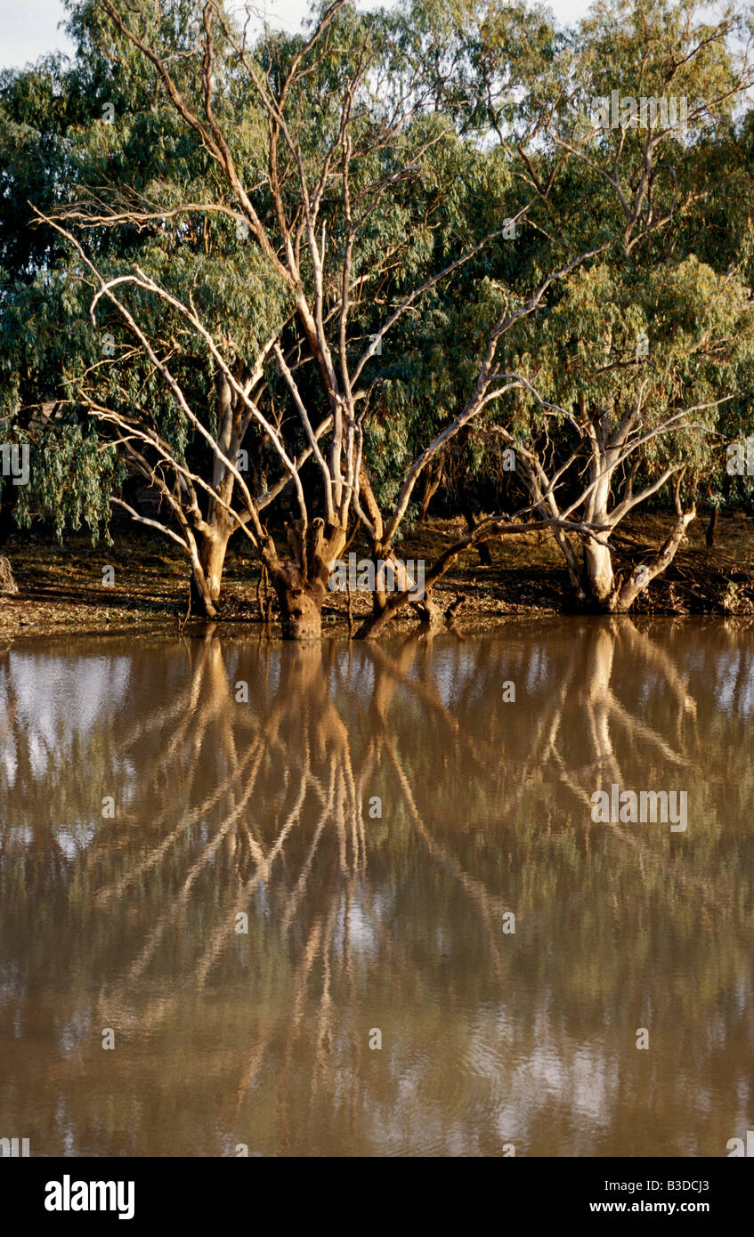 Warrego river hi-res stock photography and images - Alamy