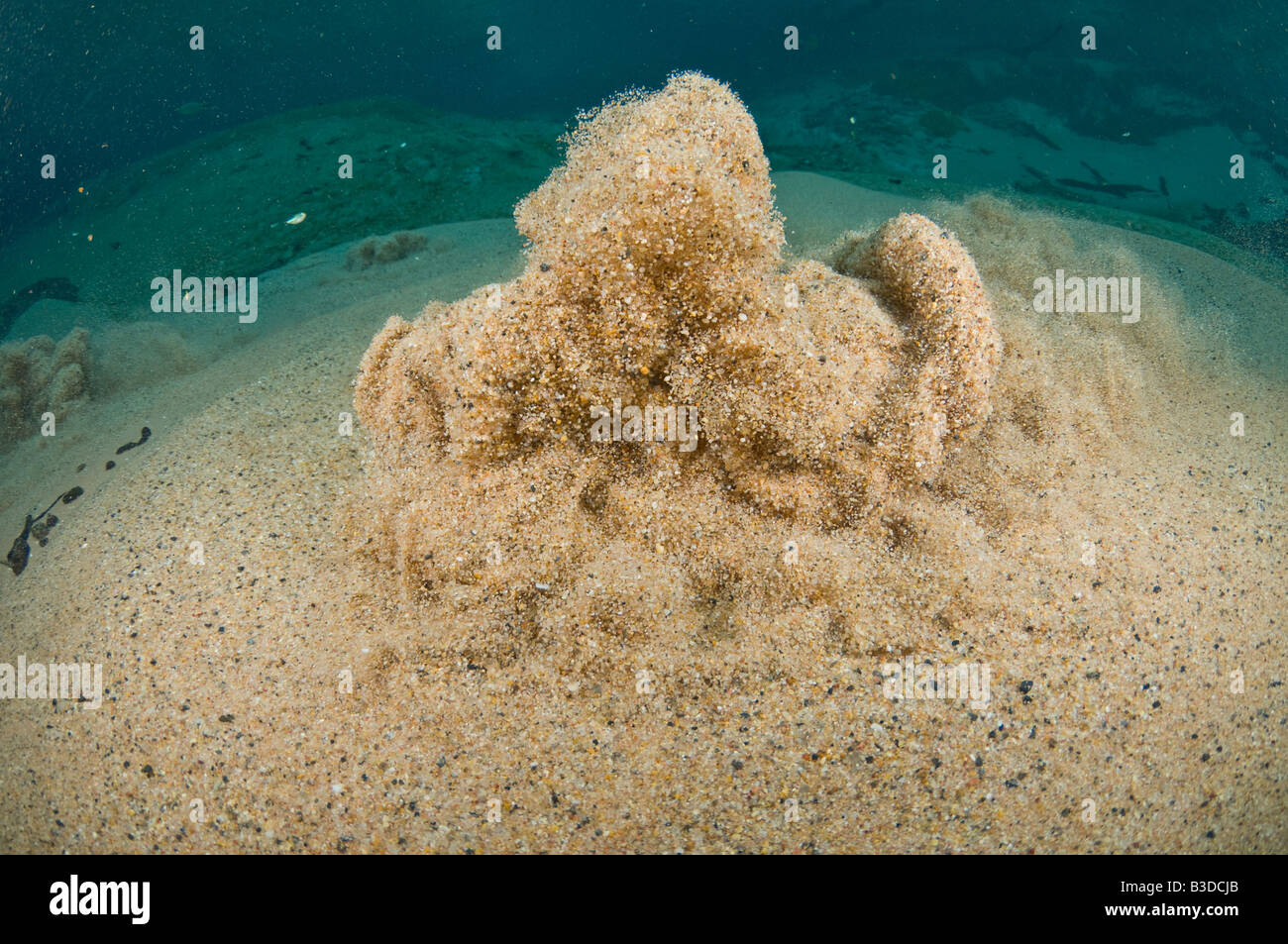 Underwater spring hi-res stock photography and images - Alamy