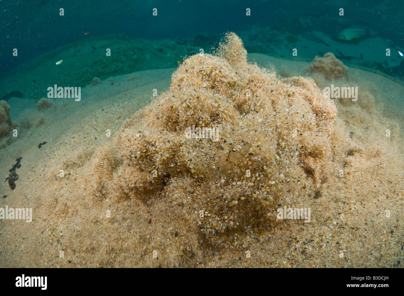 Underwater spring hi-res stock photography and images - Alamy