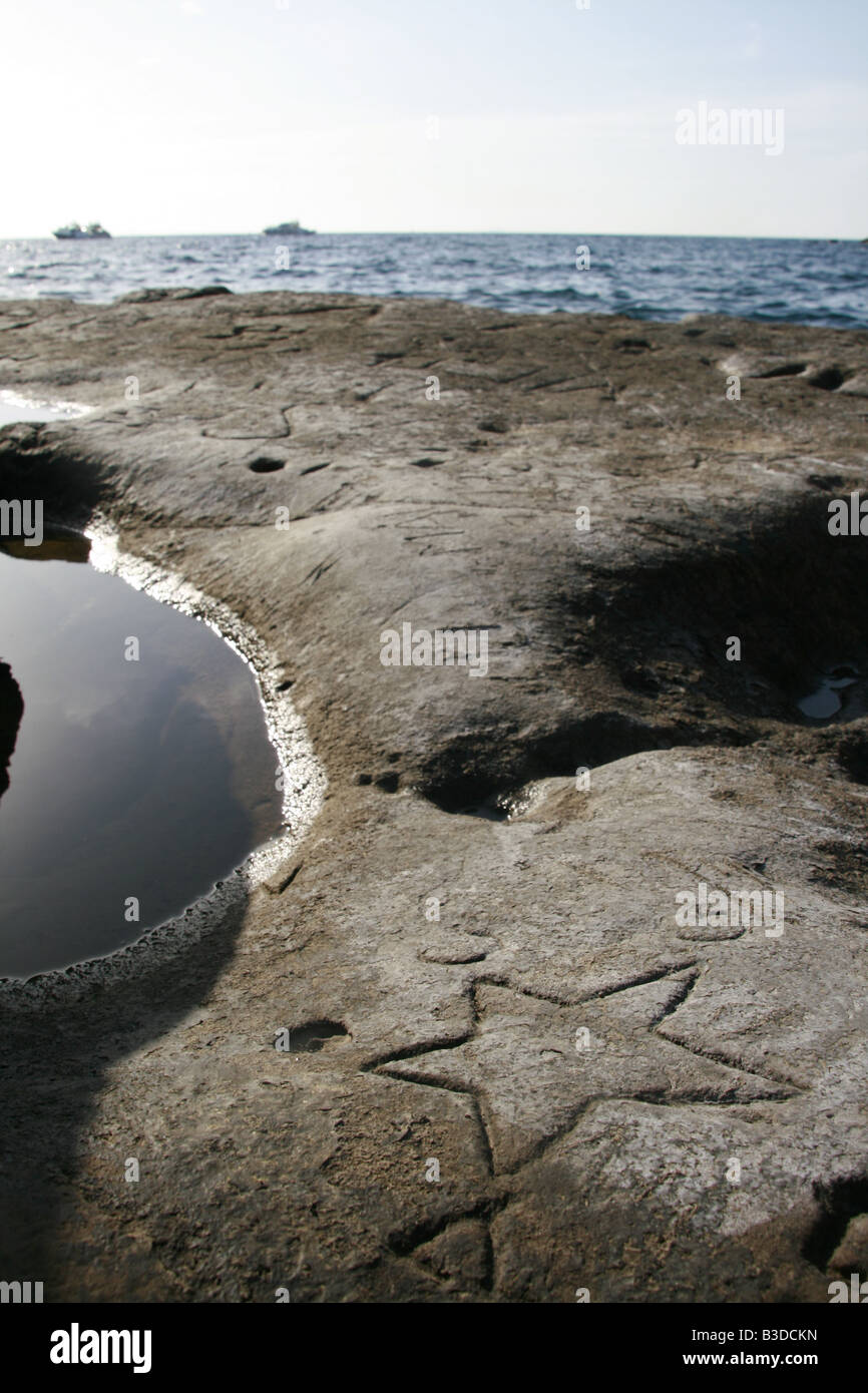 Sea star identification hi-res stock photography and images - Alamy
