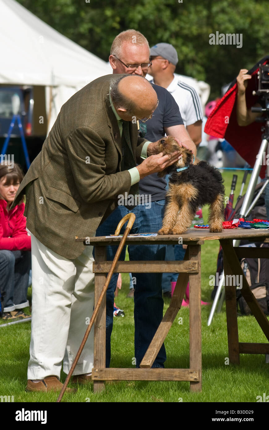 Dog show judge at Grasmere show Stock Photo - Alamy