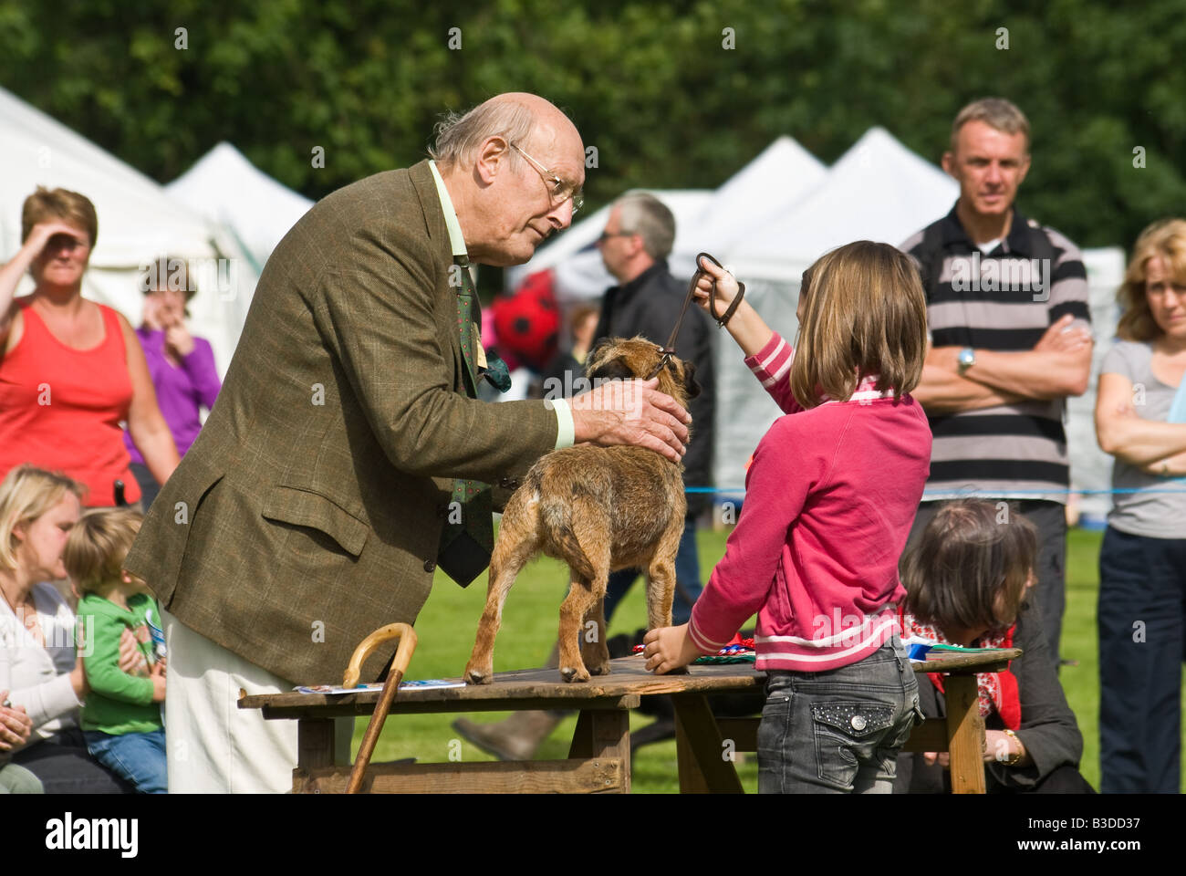 Dog show judge at Grasmere show Stock Photo - Alamy