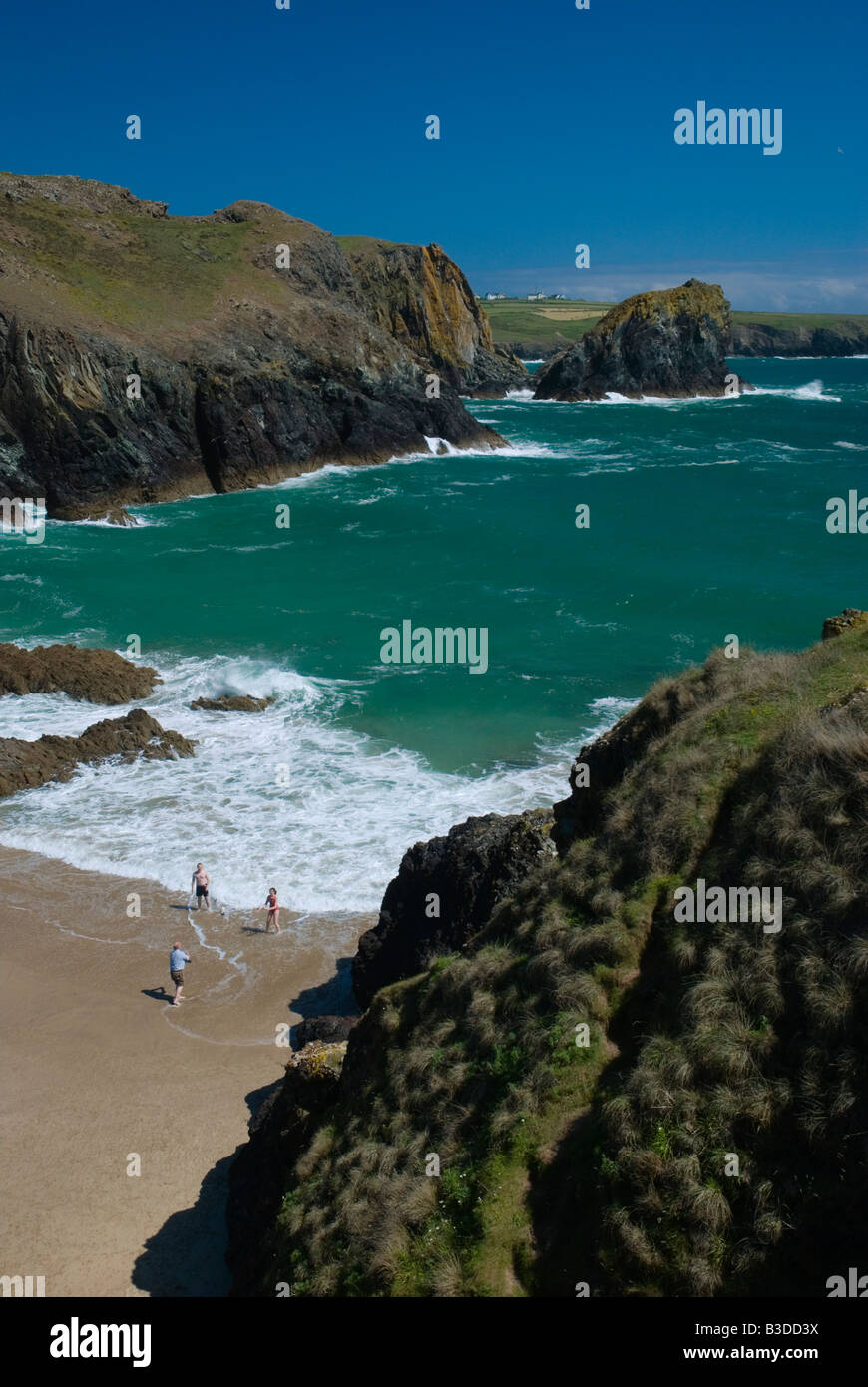 Kynance Cove Cornwall England UK Stock Photo - Alamy