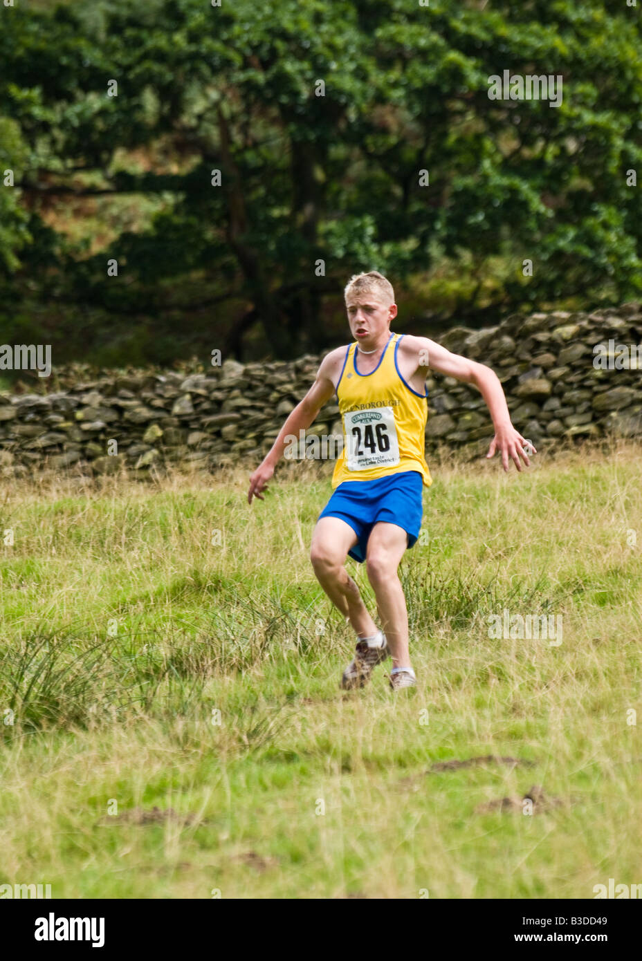 Grasmere show hi-res stock photography and images - Alamy