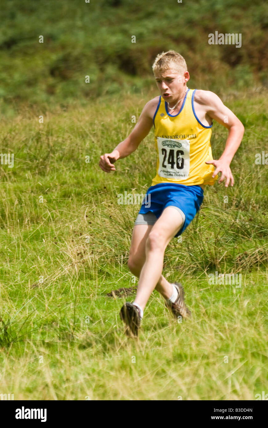 Grasmere Show High Resolution Stock Photography and Images - Alamy
