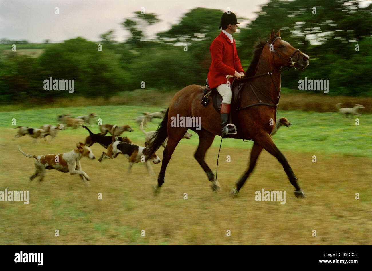 Foxhunting England UK Stock Photo - Alamy