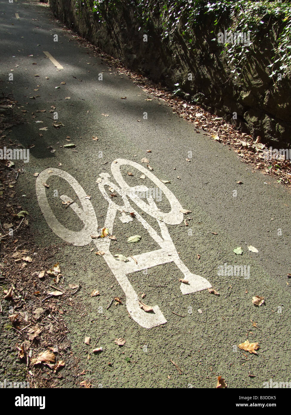 empty cycle path in countryside Stock Photo - Alamy