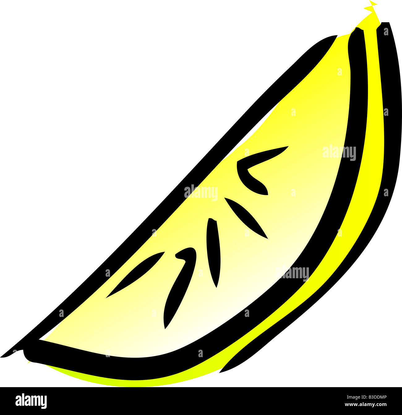 Sliced quarter lemon hand drawn lineart retro illustration Stock Photo ...