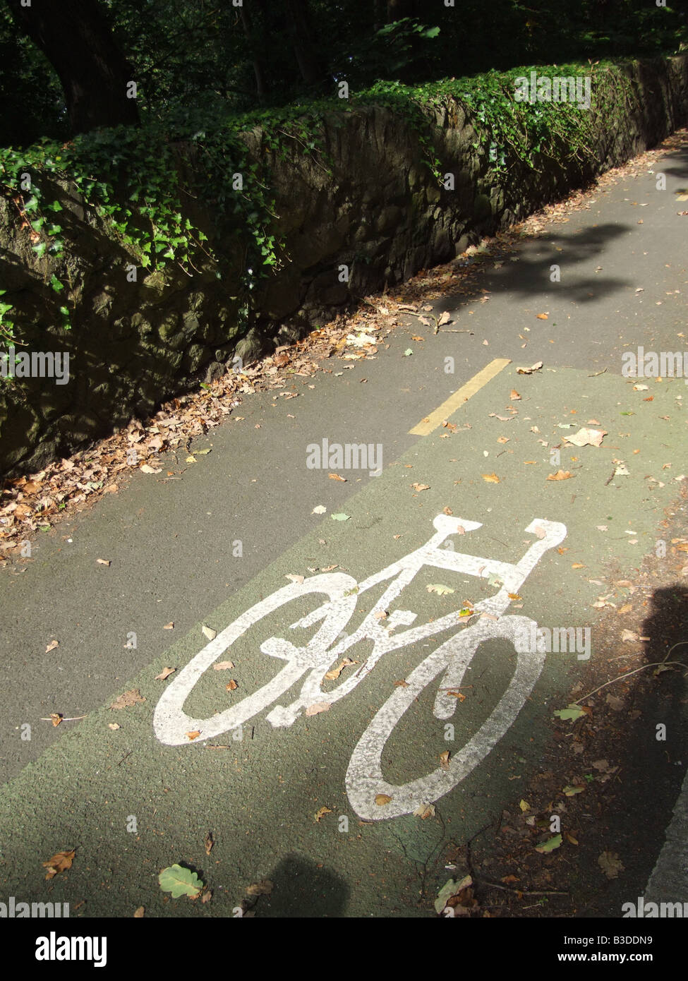 empty cycle path in countryside Stock Photo - Alamy