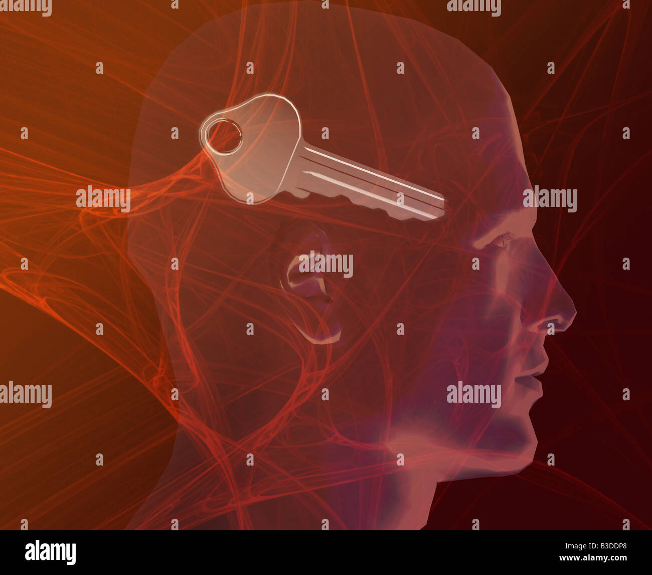 Security minded digital collage of human profile with key Stock Photo ...