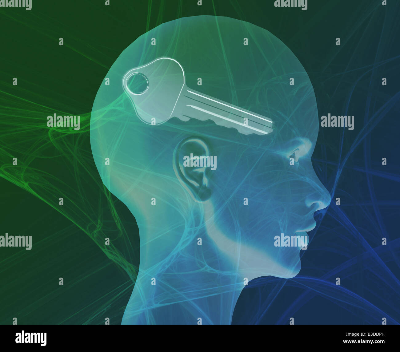 Security minded digital collage of human profile with key Stock Photo ...