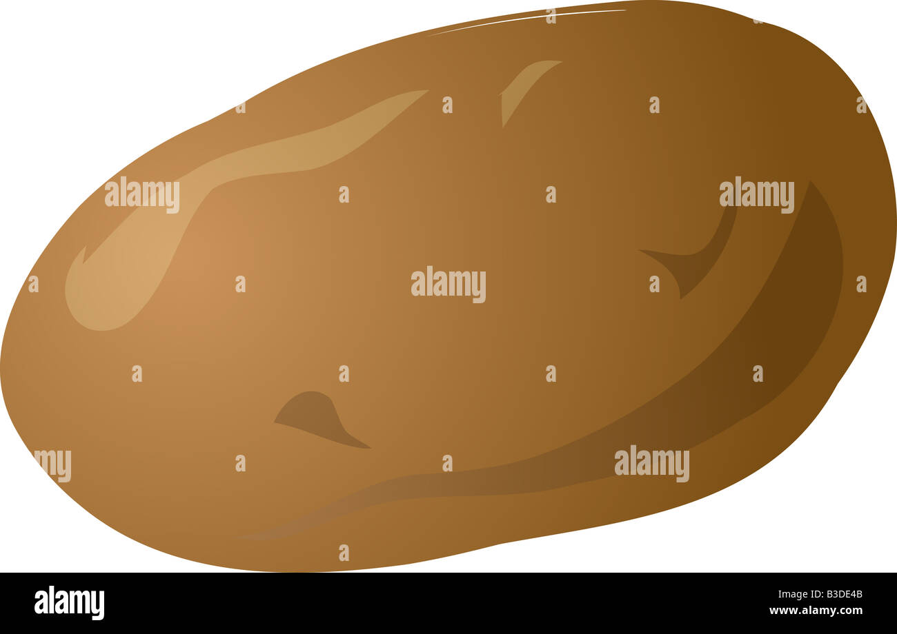 Sketch of a potato Hand drawn lineart look illustration Stock Photo - Alamy