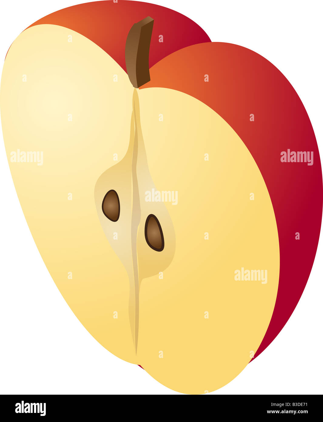 Sliced half red apple isometric illustration color gradient Stock Photo ...