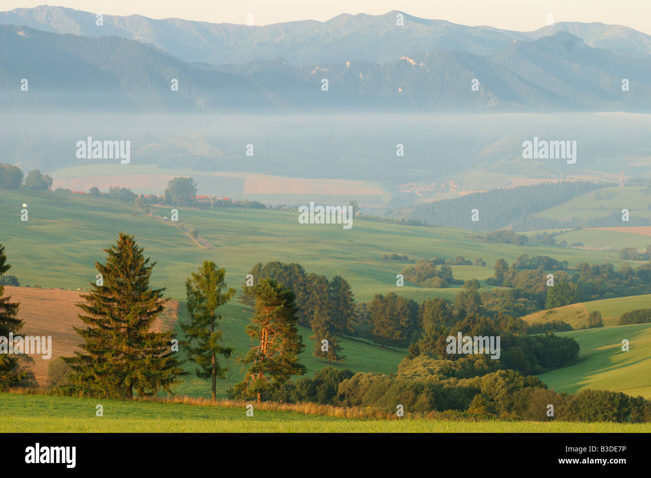 Valley in morning with fog veil Stock Photo - Alamy