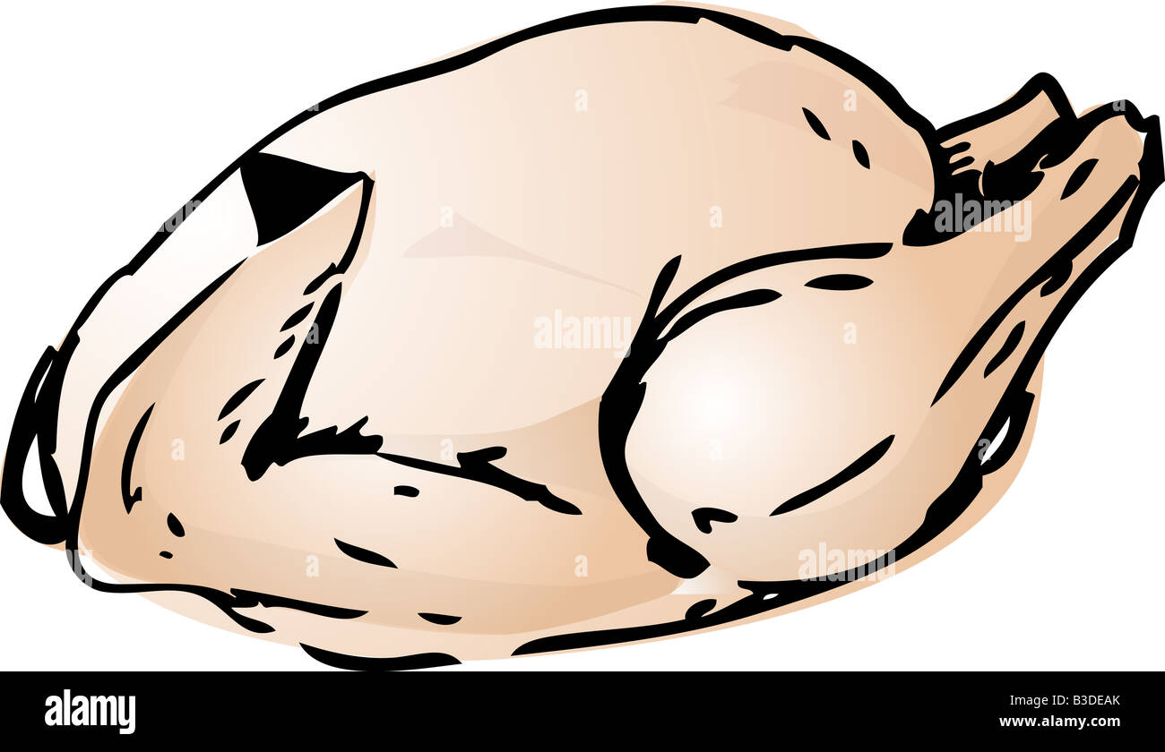 Whole raw chicken cooking ingredient hand drawn retro lineart sketch ...