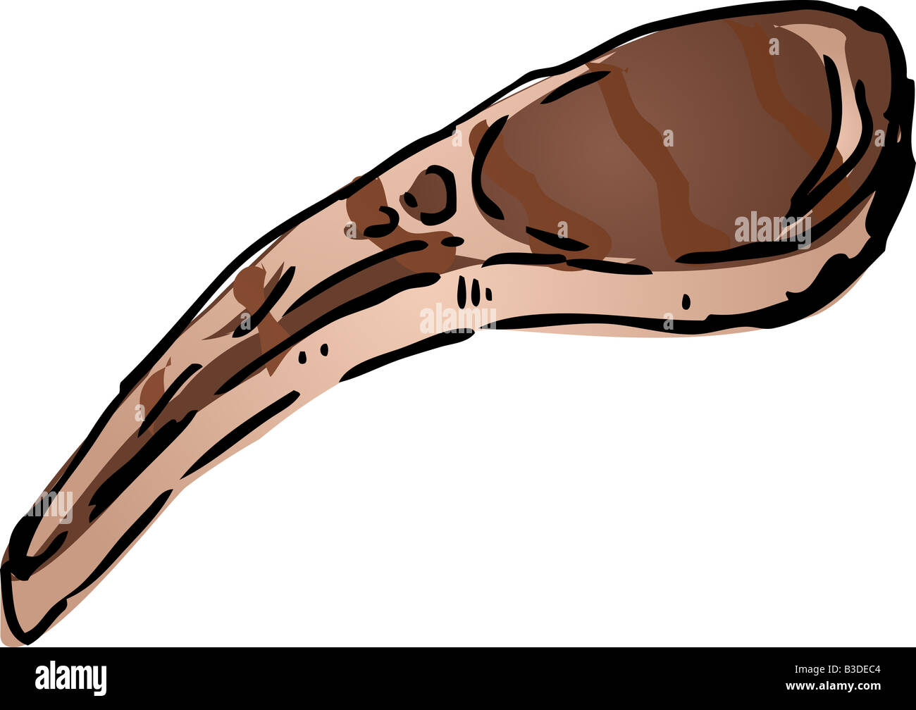 Cooked lamb chop illustration Stock Photo - Alamy