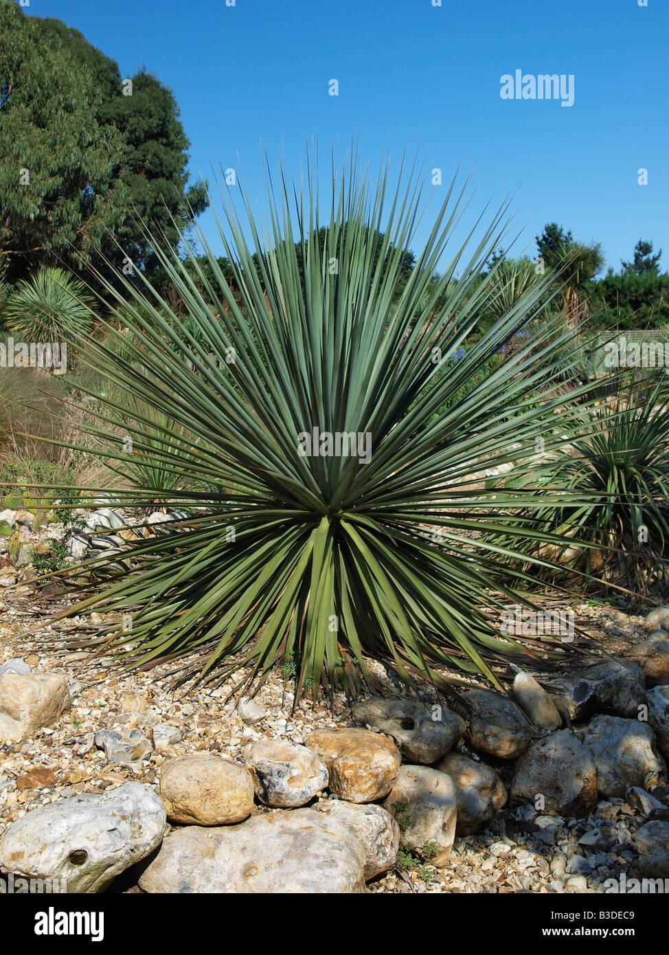Garden view east ruston old hi-res stock photography and images - Alamy