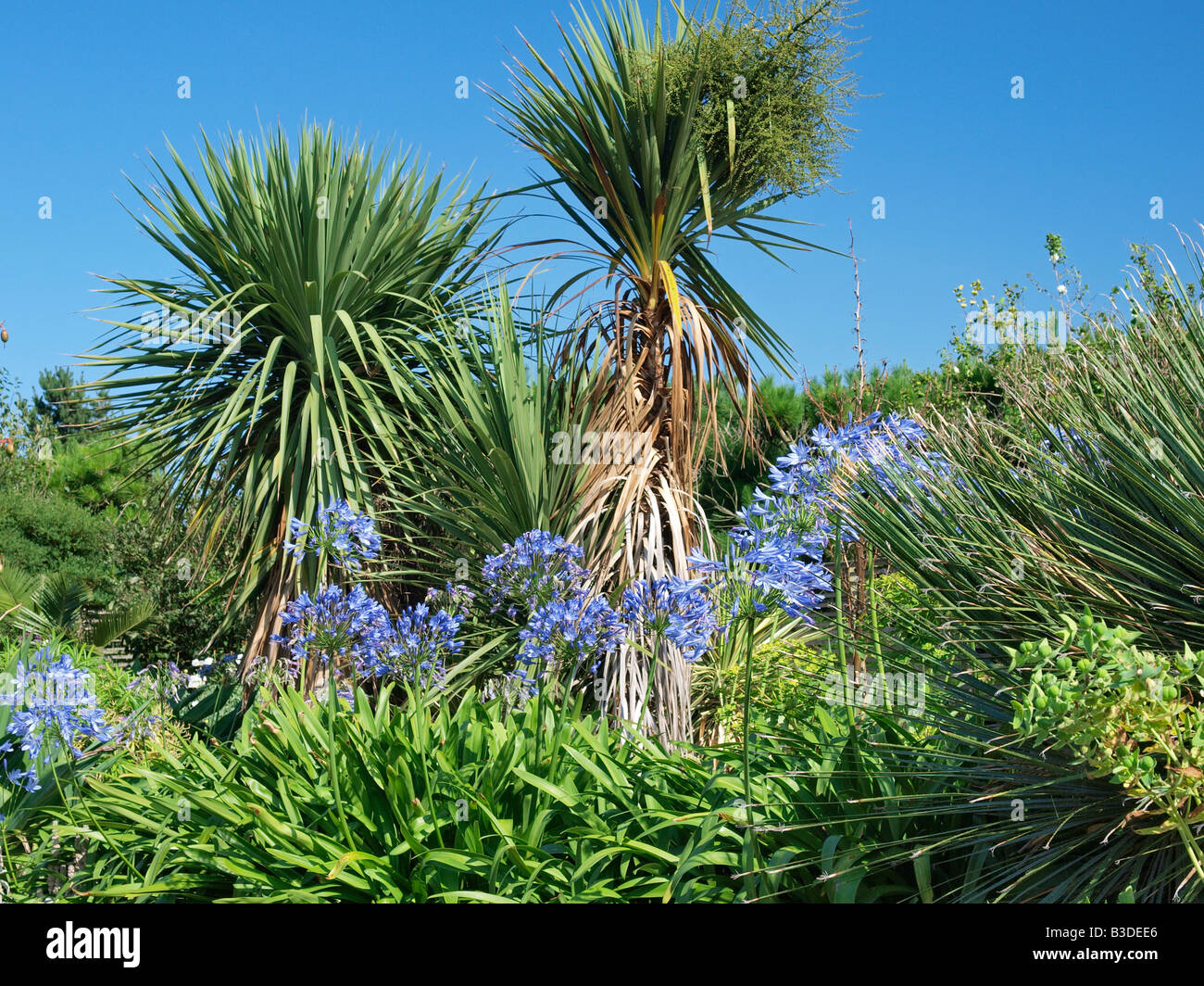Garden view east ruston old hi-res stock photography and images - Alamy