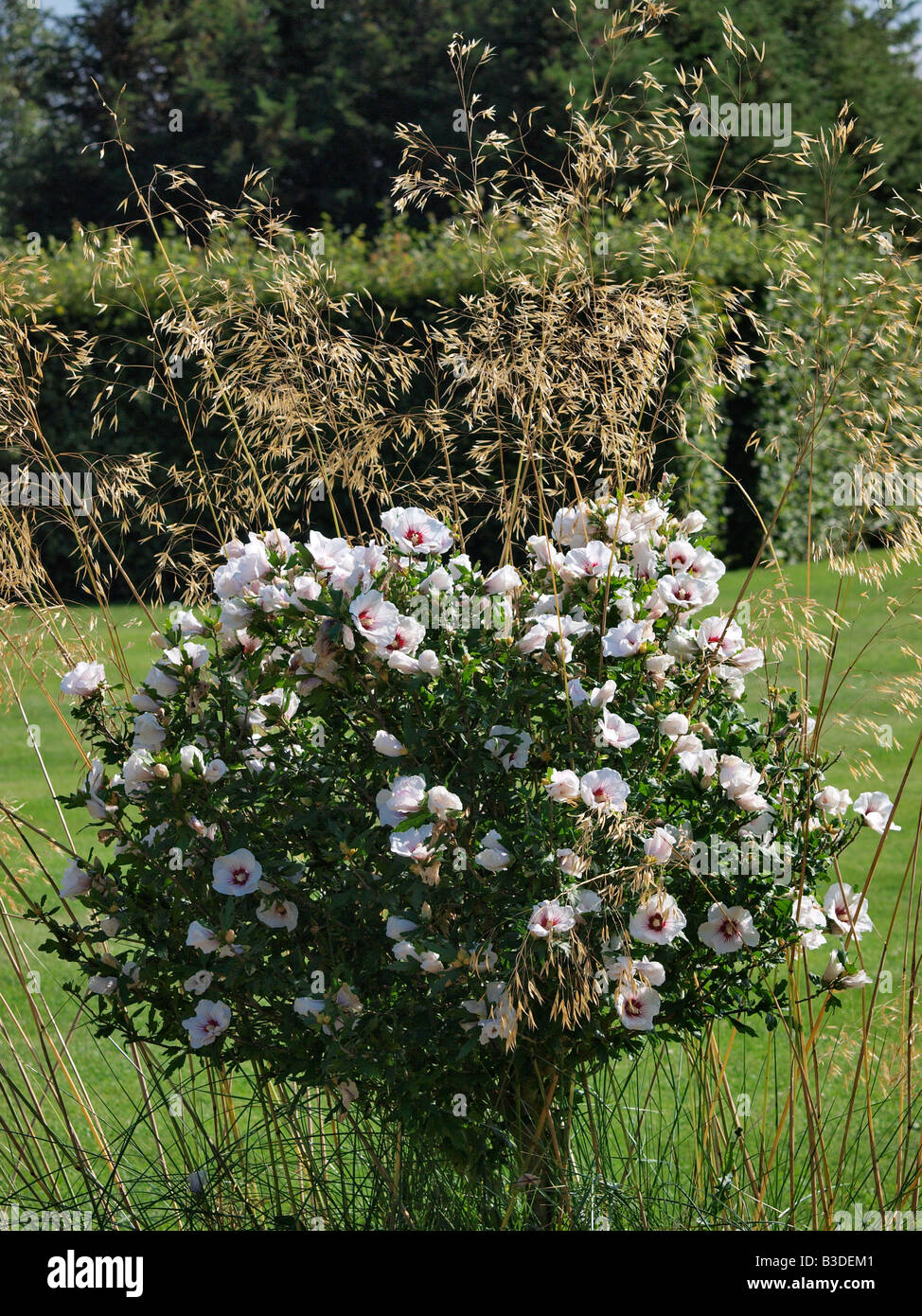 Garden view east ruston old hi-res stock photography and images - Alamy