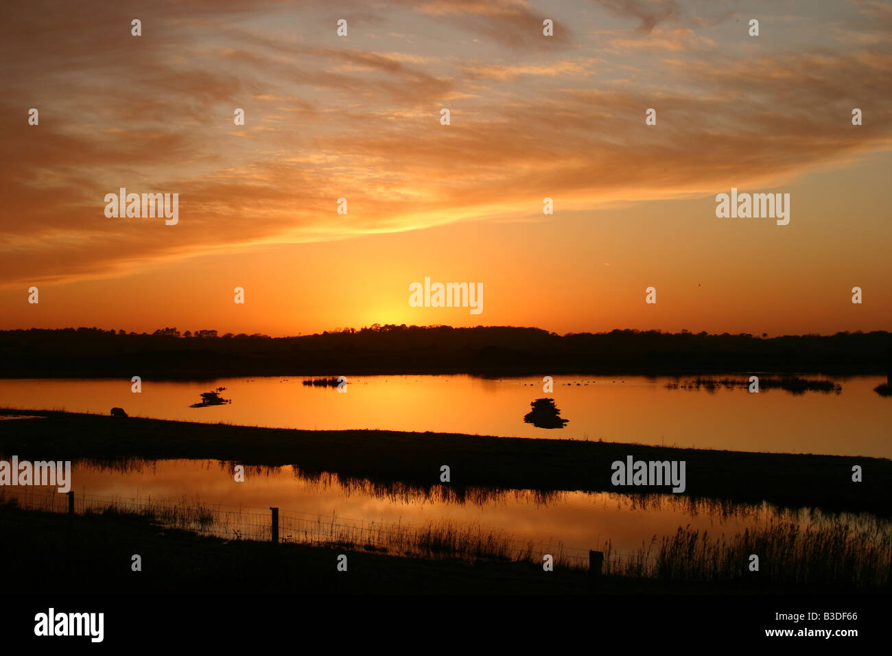 Rspb minsmere hi-res stock photography and images - Alamy