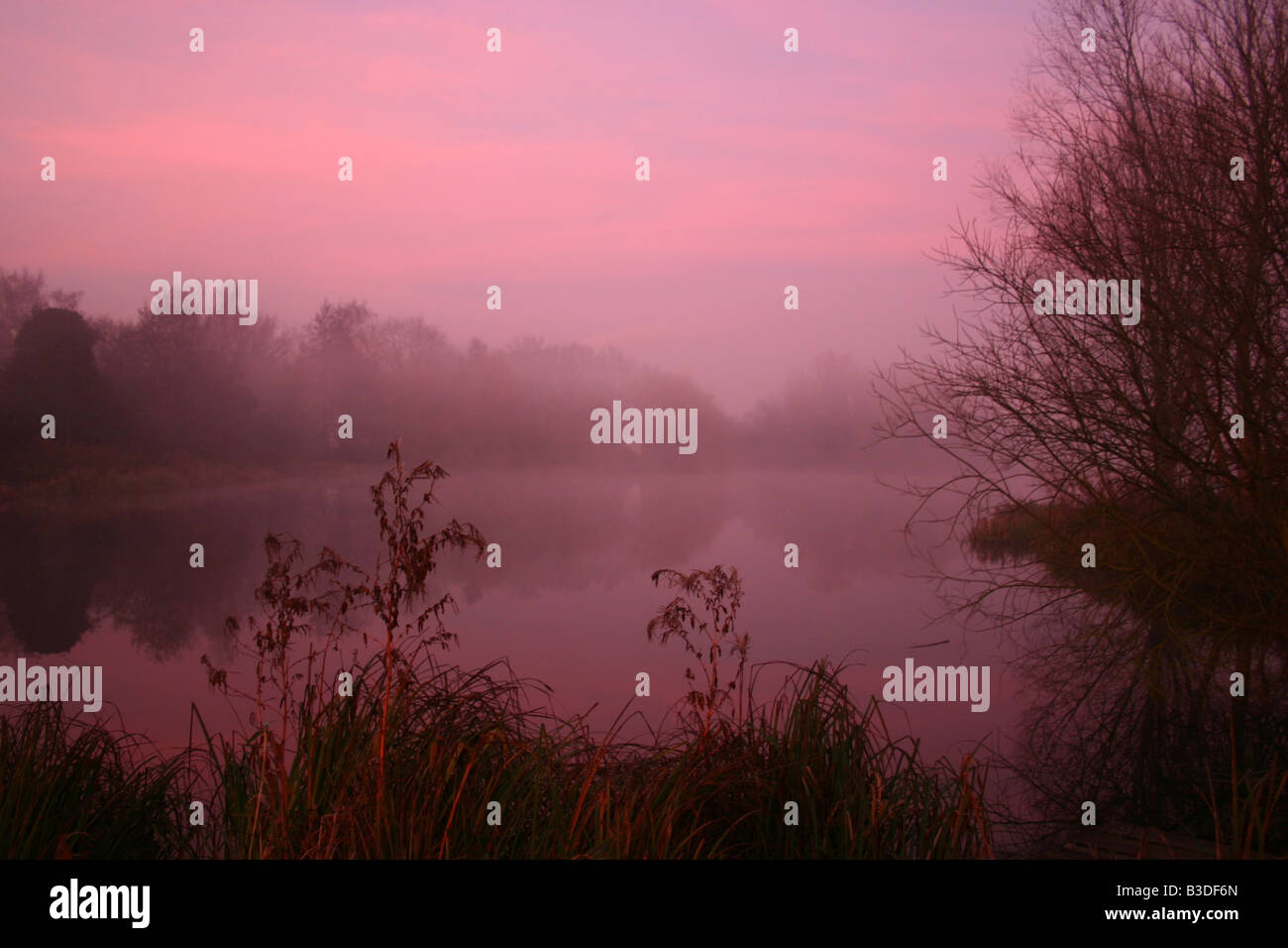 University east anglia lake uea hi-res stock photography and images - Alamy