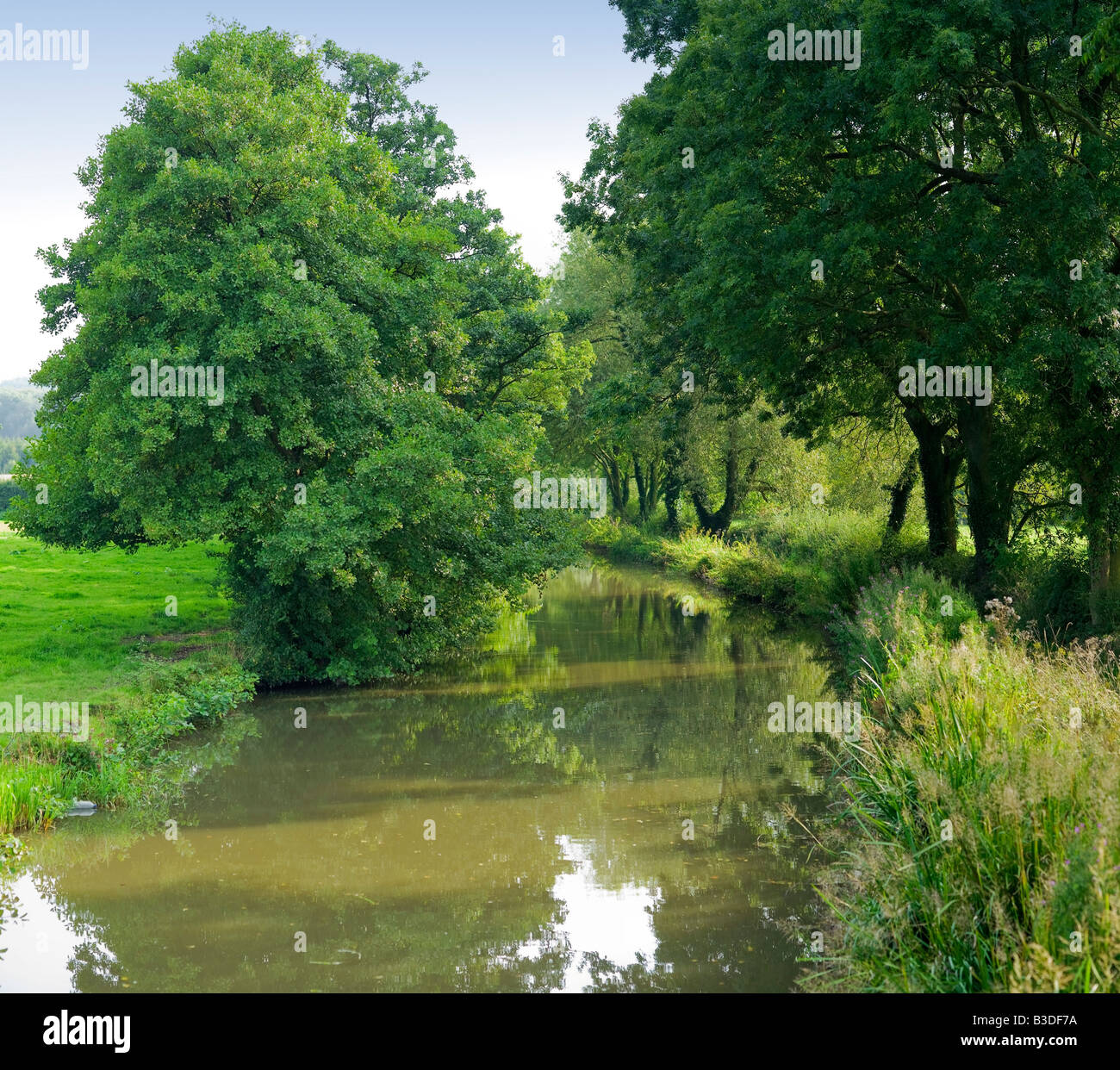 River avon pollution hi-res stock photography and images - Alamy