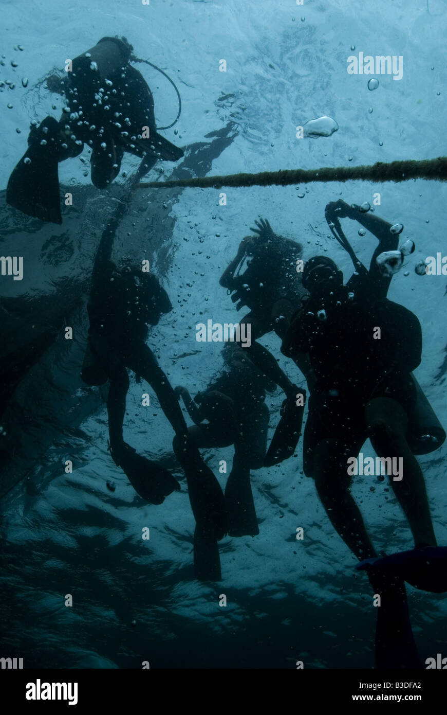 Scuba diver descending hi-res stock photography and images - Alamy
