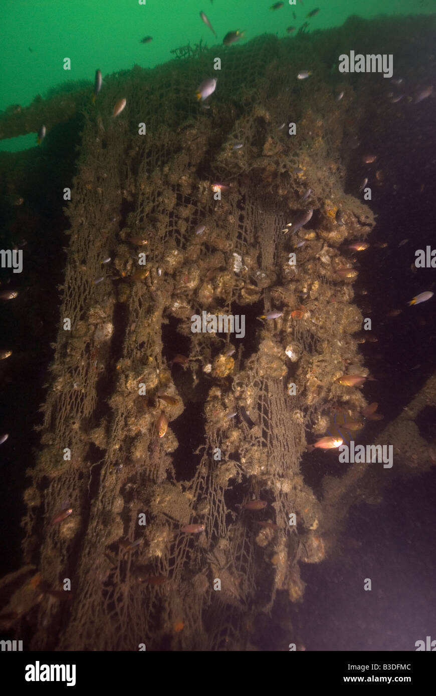 Fishing Net on coral reef under water Stock Photo - Alamy