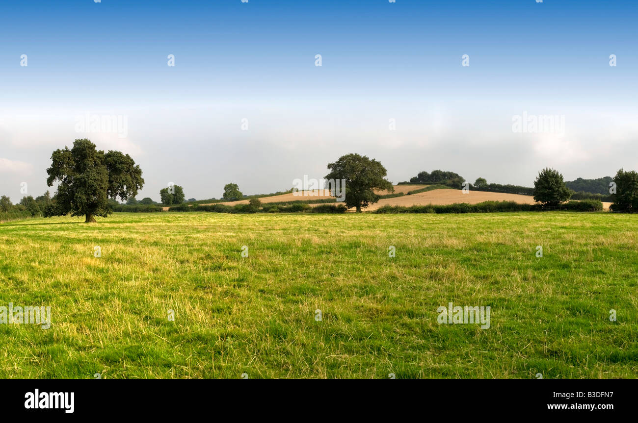 a farm field in the countryside Stock Photo - Alamy